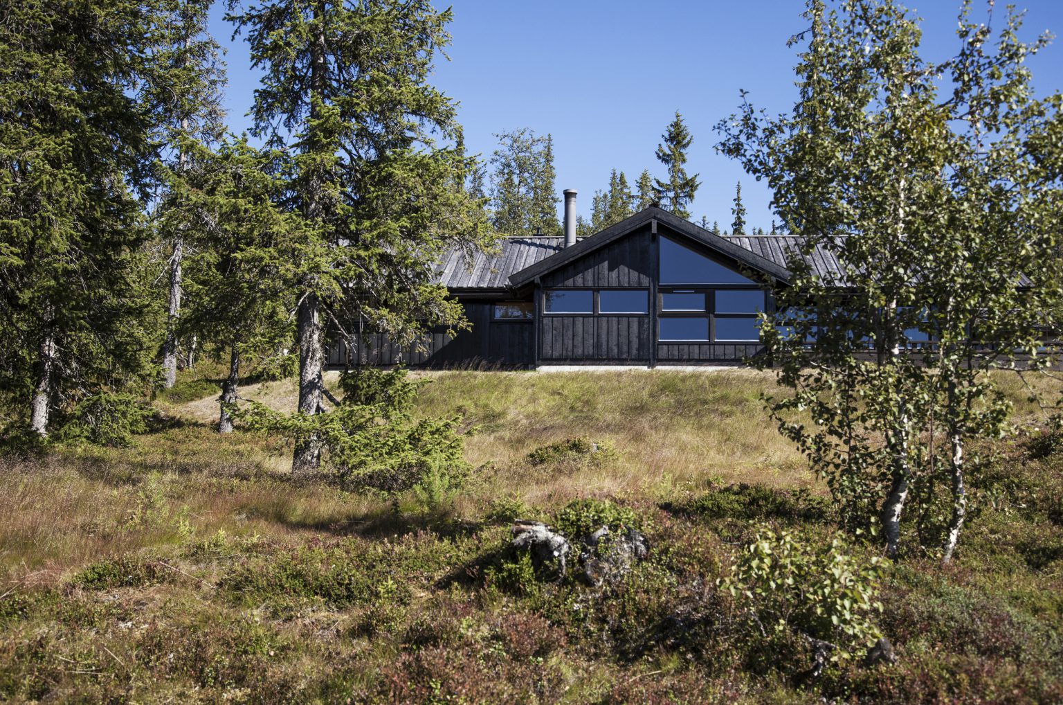 HVILKEN FARGE BØR MAN VELGE PÅ HYTTA? - Hedda Hytter
