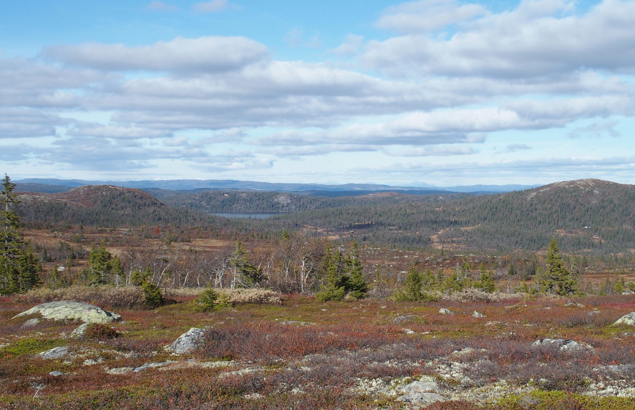 Skurveknatten, Hedalsfjellet - Hedda Hytter